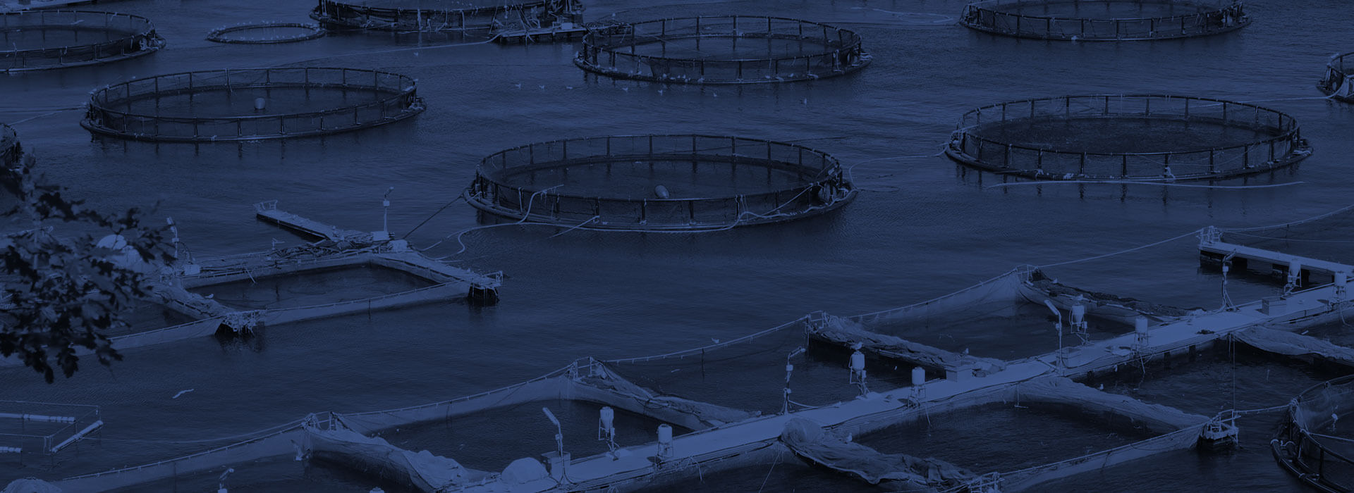 Aquaculture Facility Automation | Repete Automation Systems