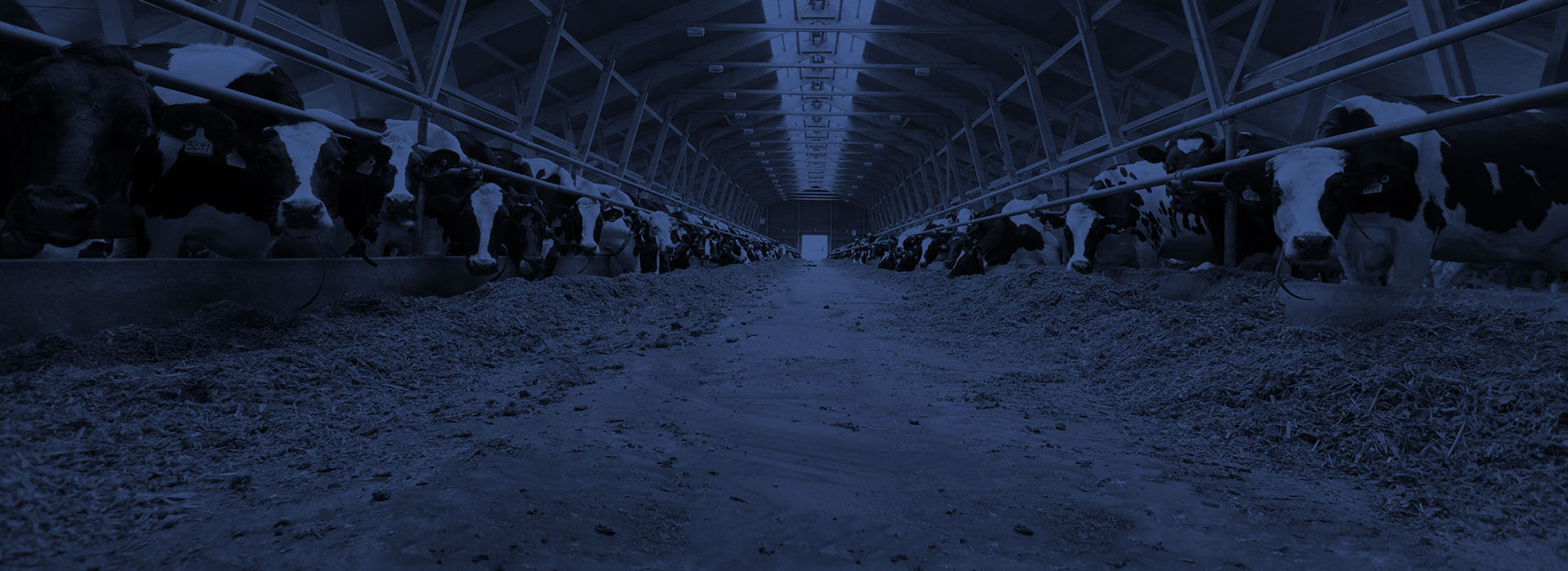 Feed Mill Automation Systems | Repete