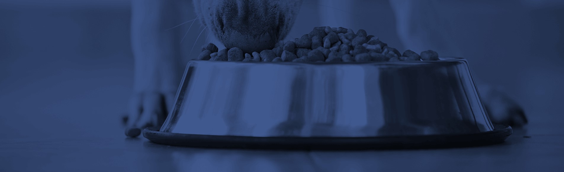 pet-food-navy - Repete
